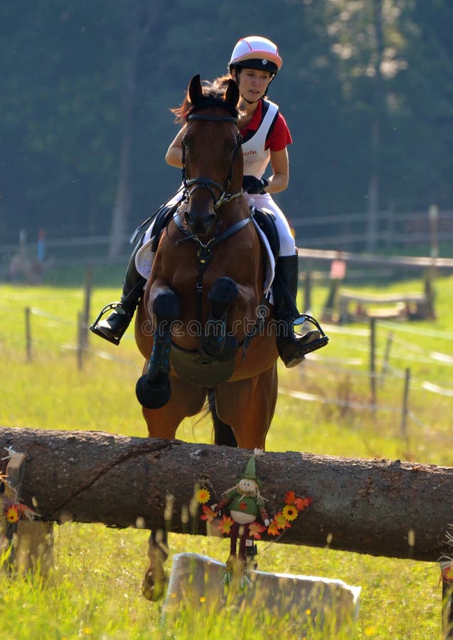 Show Jumping editorial photo. Image of horse, rider, show - 43364421
