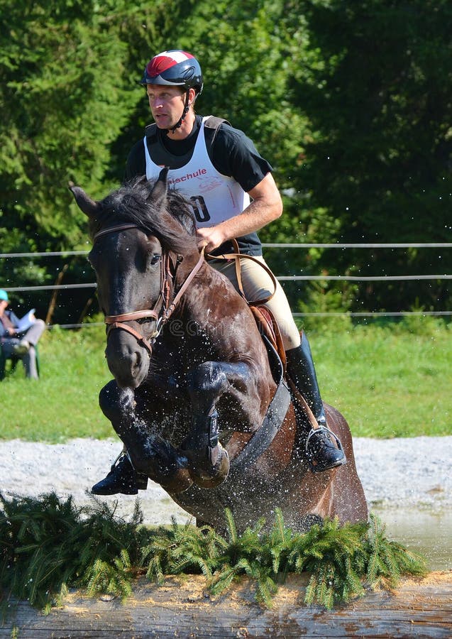 Show Jumping editorial photo. Image of stallion, tree - 43364471