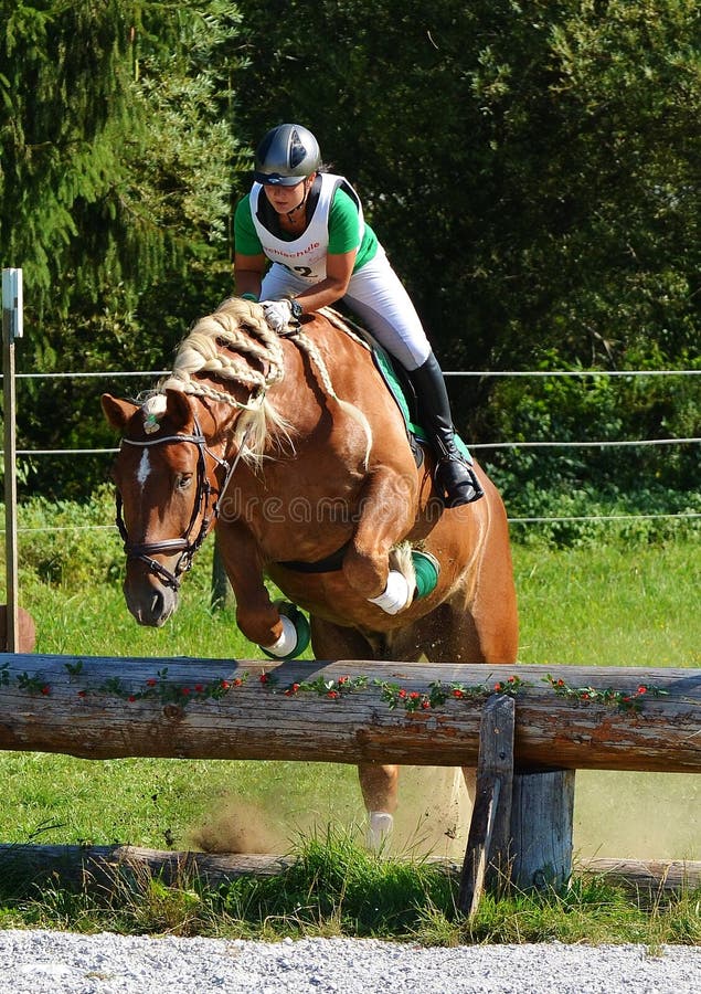 Show Jumping editorial photography. Image of mare, open - 43364477