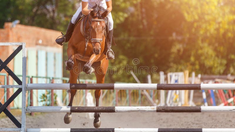 Show Jumping Event Background with Copy Space Stock Image - Image of ...