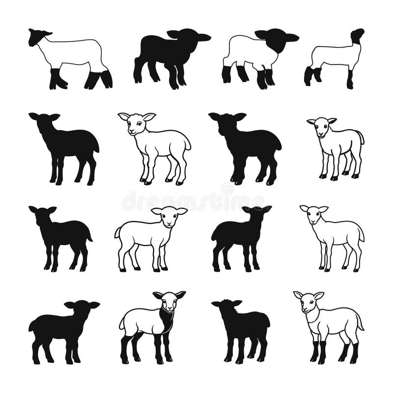 Show Lamb Bundle Market Lamb Silhouette Stock Vector - Illustration of ...