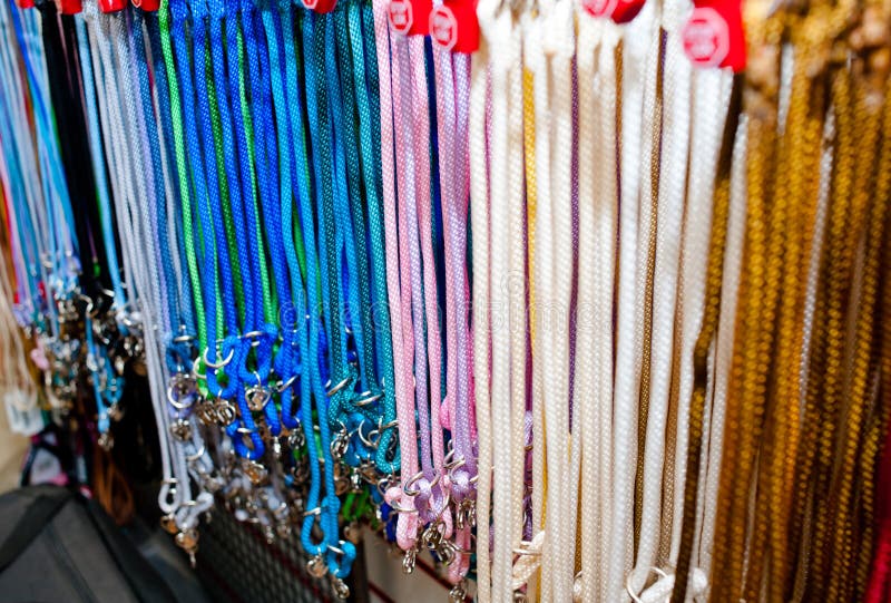 Show leashes on sale stock image. Image of pink, belt - 56775099
