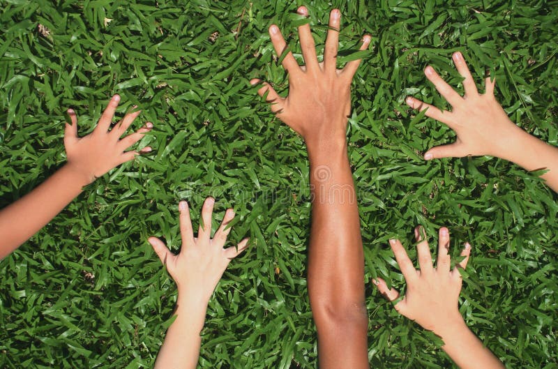 Show me your hands! stock photo. Image of human, organ - 730716