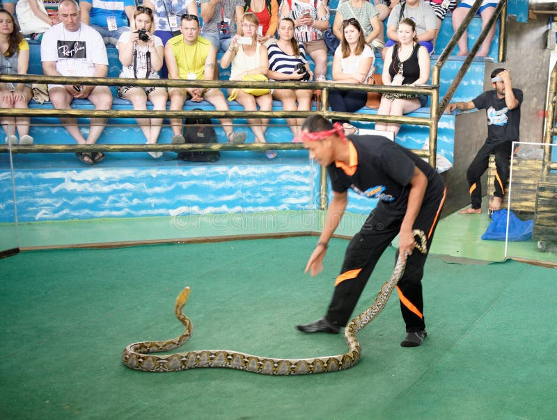 Show of Snakes. Performer Play with Python during a Show in Pat ...