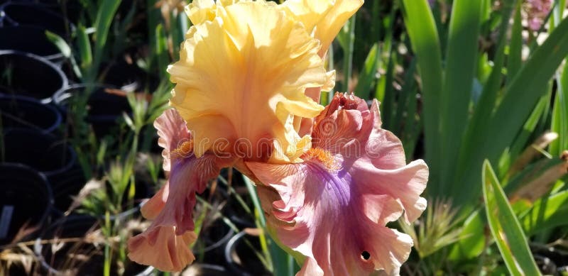 Best Website Photo Books Stock Photos - Free & Royalty-Free Stock ...