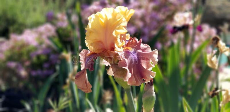 Best Website Photo Books Stock Photos - Free & Royalty-Free Stock ...