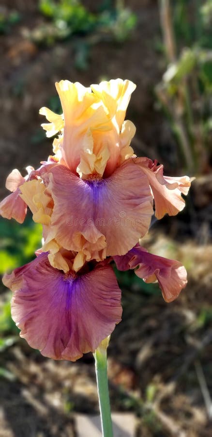 Best Website Photo Books Stock Photos - Free & Royalty-Free Stock ...