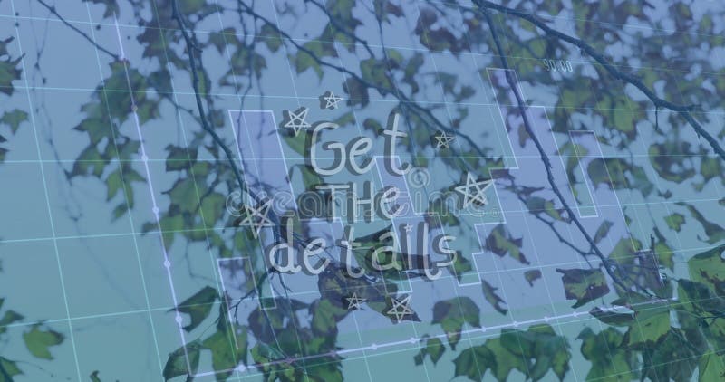 Showcasing White Script Text Floating Over Tree Canopy with Blue Grid ...