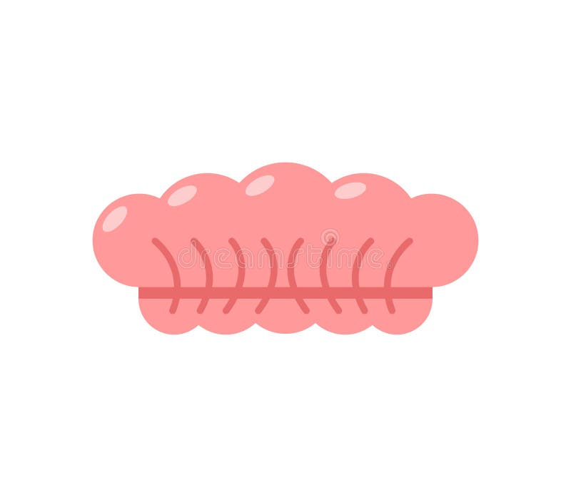 Shower Cap Isolated. Pink Swim Hat. Vector Illustration. Stock Vector ...