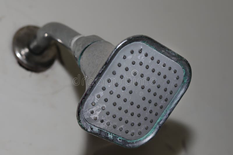 A Shower Head Full of Scale Stock Photo - Image of limb, scale: 270557440