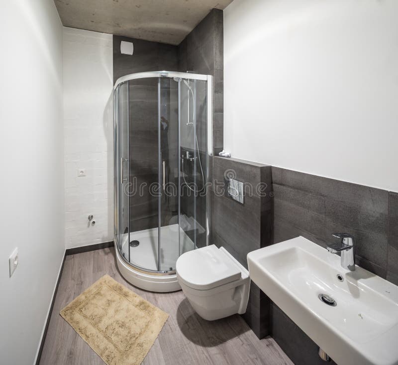 Shower Room and Bathroom in a Modern Apartment. Shower Room in the ...