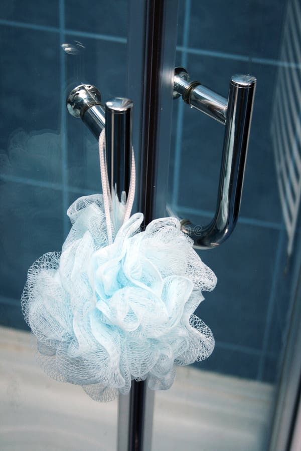 Shower sponge stock image. Image of holes, aquatic, grooming - 10463579