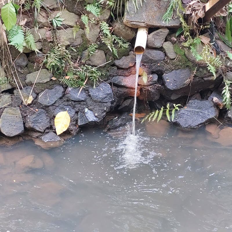 Shower of Water Sourced from Springs Stock Photo - Image of springs ...