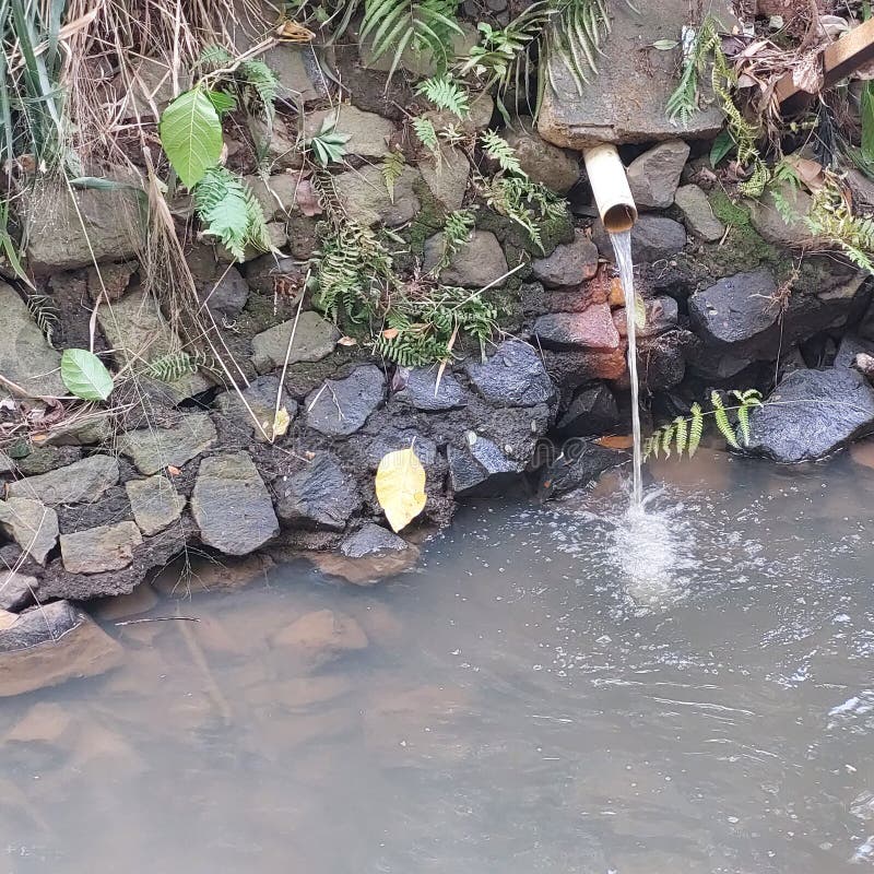 Shower of Water Sourced from Springs Stock Photo - Image of plant ...