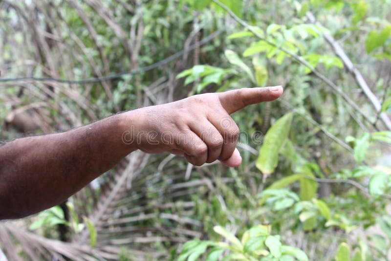 Showing Direction Hand Gesture Image Stock Photo - Image of direction ...