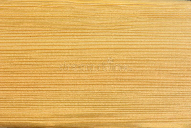 Showing the Grain of Siberian Larch Stock Photo - Image of design ...