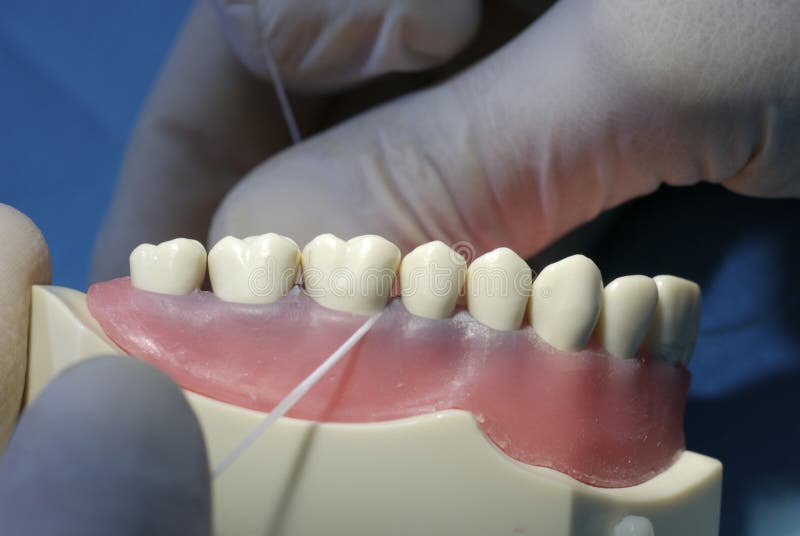 Showing how to use floss stock photo. Image of clinic - 4198618