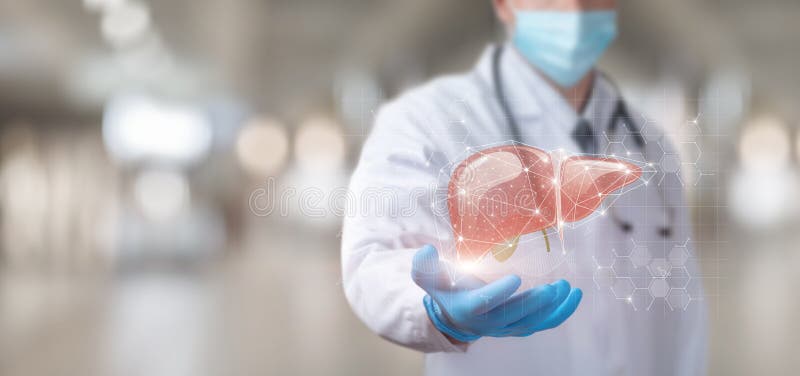 Showing Liver on Virtual Computer Screen Stock Illustration ...