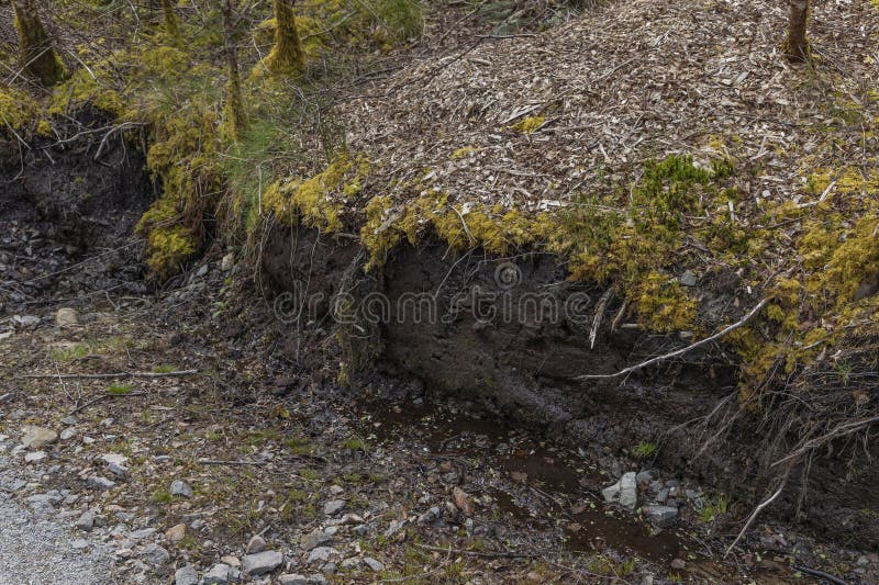 Showing a Thick Layer of Peat Stock Photo - Image of environment, dirt ...