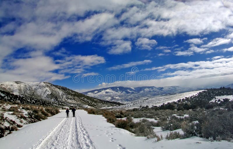 Showshoers Hike Up a Snow Covered Road Stock Image - Image of hikers ...