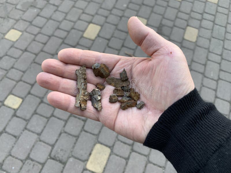 Shrapnel from a Mine in Hand. Parts of a High-explosive Artillery ...