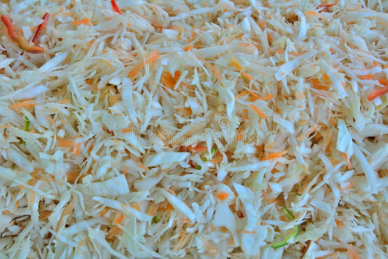 Shredded cabbage 3 stock photo. Image of fresh, detail - 133450568