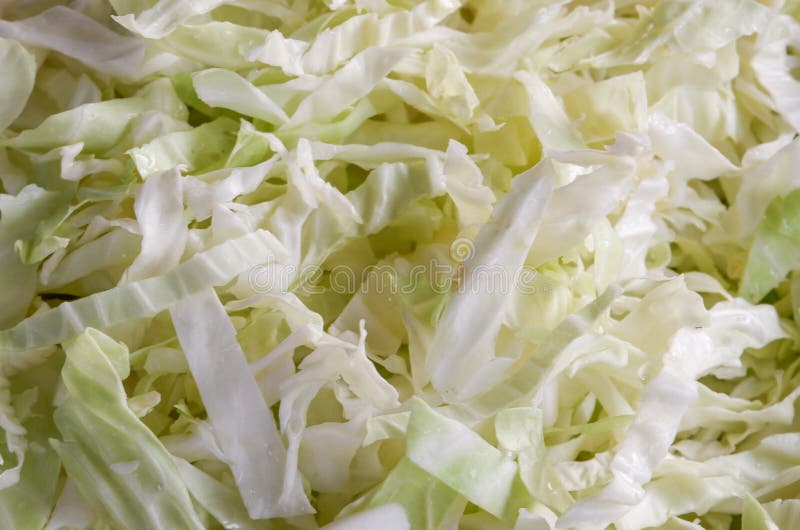 Shredded cabbage stock image. Image of chopped, crunchy - 90767633
