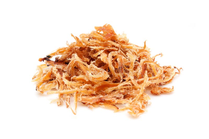 Isolated Cuttlefish stock photo. Image of underwater, fish - 2415308