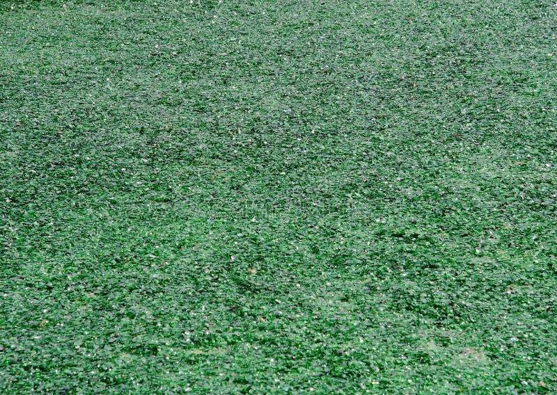 Shredded glass stock image. Image of protection, powdered - 10504875