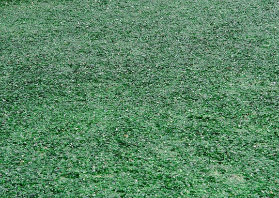 Shredded glass stock image. Image of protection, powdered - 10504875