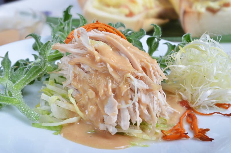 Shredded Hirvió El Pollo Con La Salsa Foto de archivo - Imagen de ...