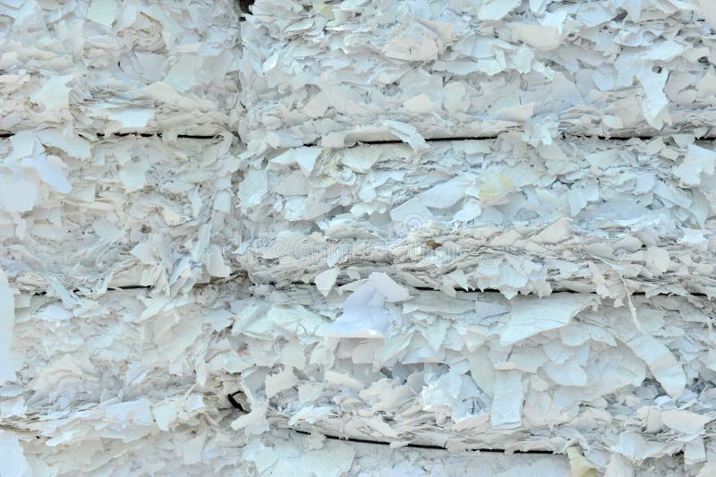 Shredded paper stock photo. Image of document, privacy - 21591736