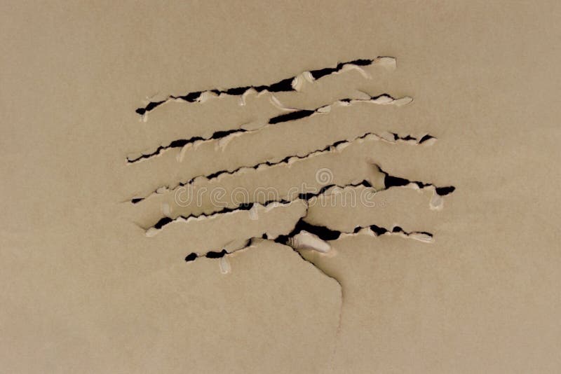 Shredded paper stock photo. Image of ragged, texture - 22199068