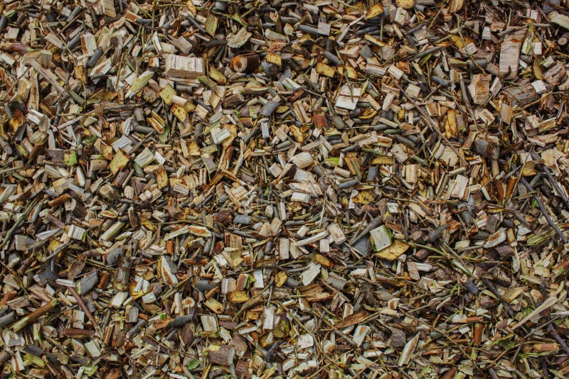 Shredded Tree Branches and Bushes Stock Image - Image of branch ...