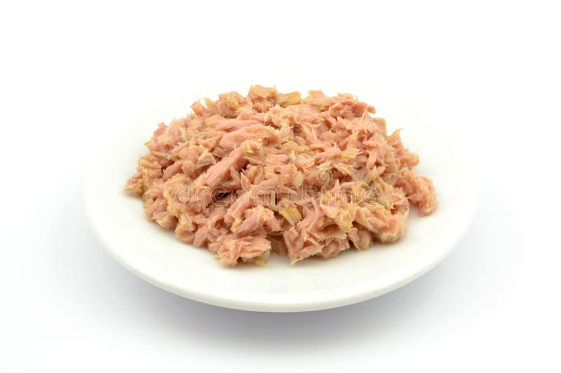 Shredded tuna stock photo. Image of seafood, meat, food - 313833646