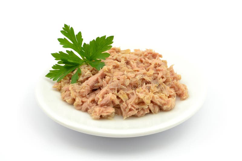 Shredded tuna stock photo. Image of isolated, meat, shredded - 313833654
