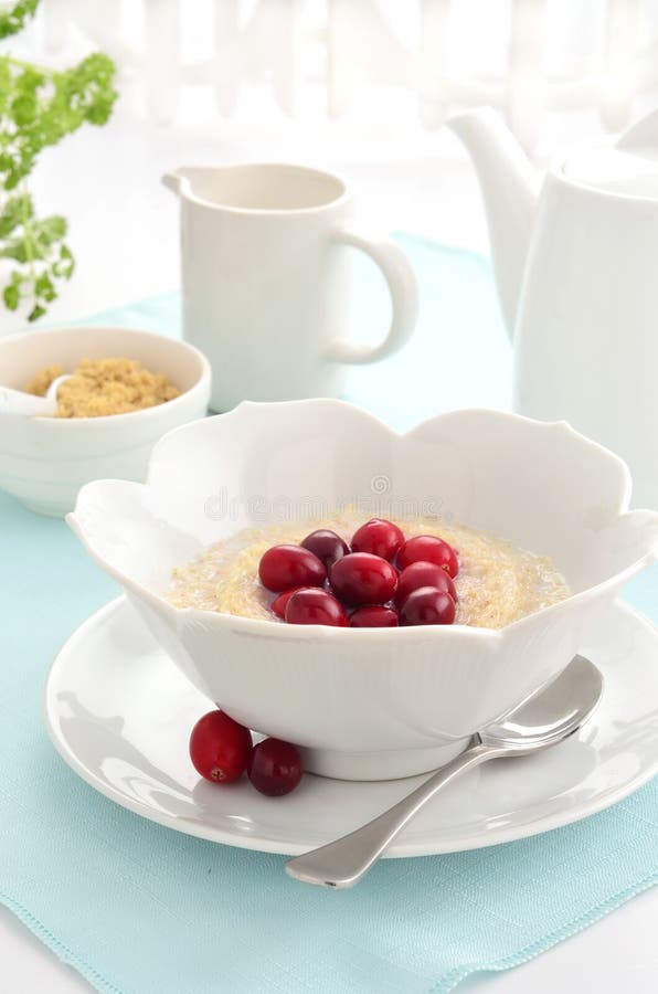 Shredded Wheat Cereal with Cranberries Stock Photo - Image of fruit ...