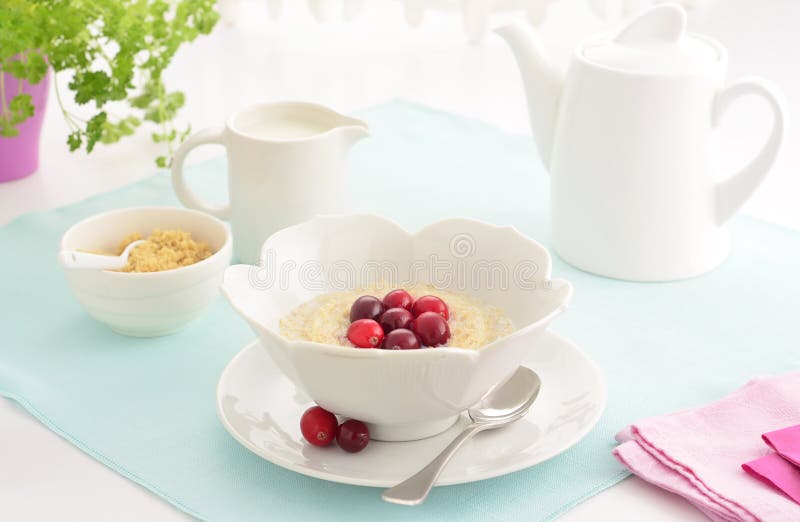 Shredded Wheat Cereal with Cranberries Stock Image - Image of nutrition ...
