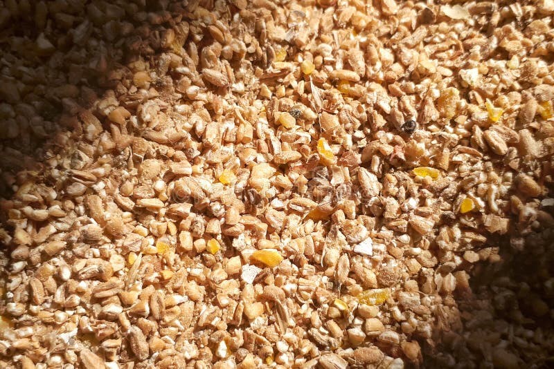 Shredded wheat and corn stock photo. Image of background - 169167588