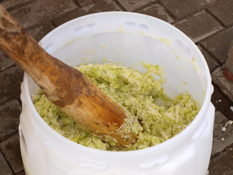 Shredding cabbage stock photo. Image of fresh, cabbage - 11436622