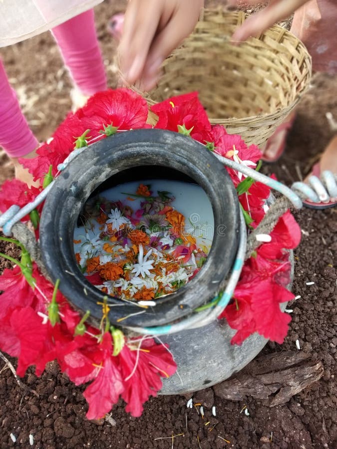 Shri Krishna Dahi handi editorial photo. Image of event - 184868251