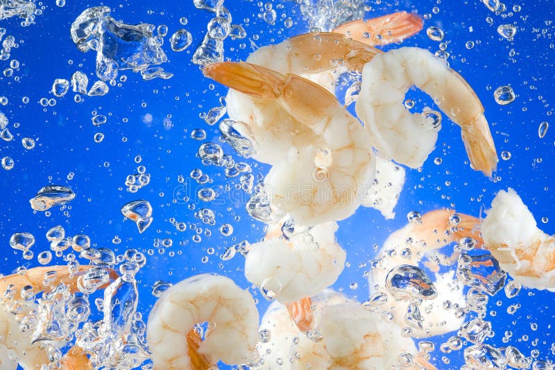 Shrimp stock image. Image of shellfish, fish, cook, bolled - 12065363