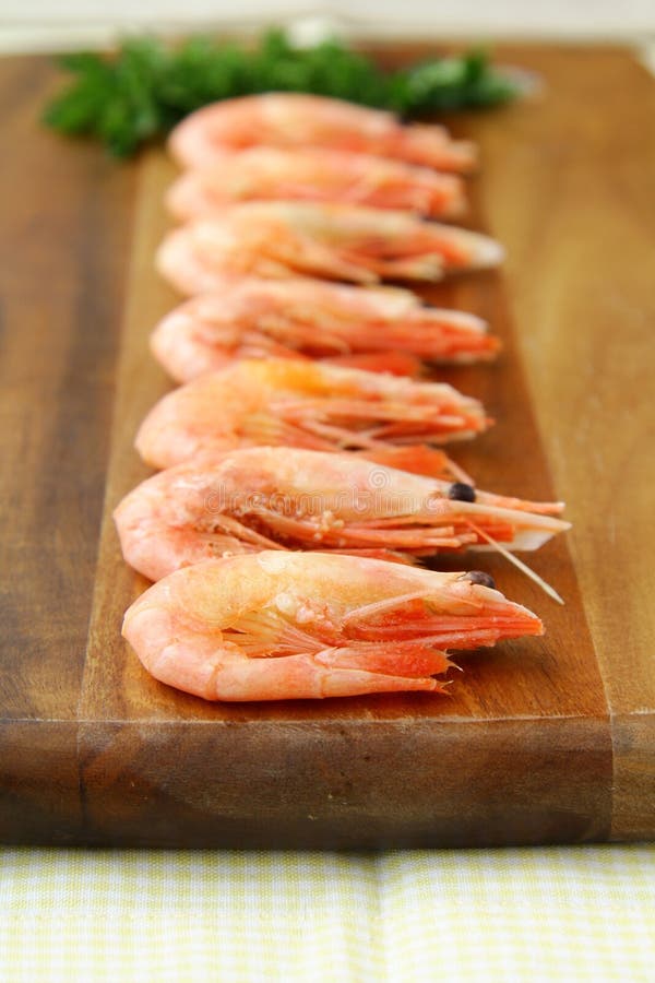Shrimp escape stock image. Image of closeup, animal, animals - 1566307