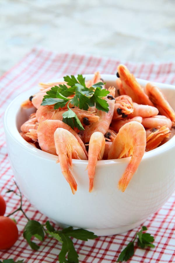 Shrimp escape stock image. Image of closeup, animal, animals - 1566307