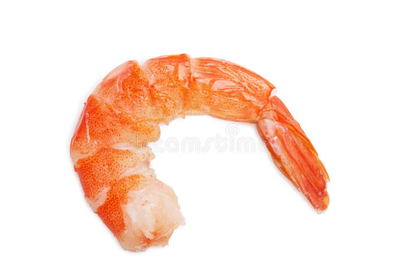 Two Shrimp stock image. Image of ingredient, appetizer - 24397361