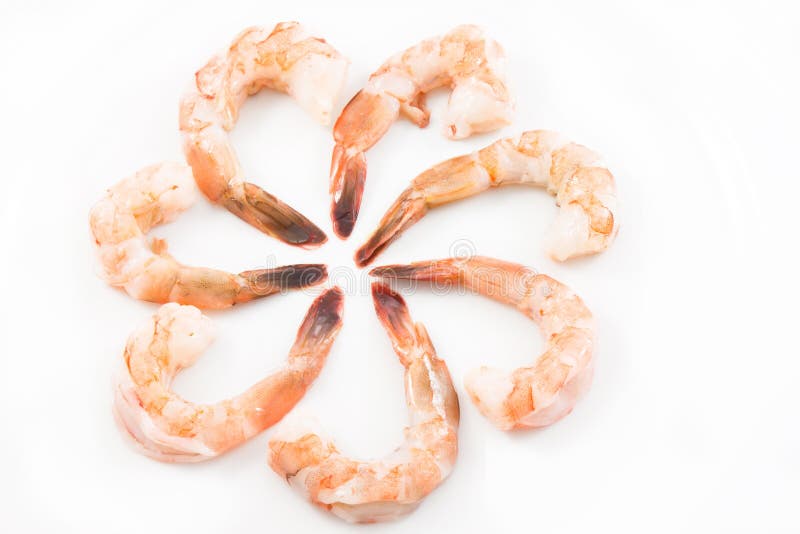 Shrimp escape stock image. Image of closeup, animal, animals - 1566307