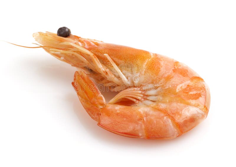 Cooked shrimp stock image. Image of large, mediterranean - 28710107