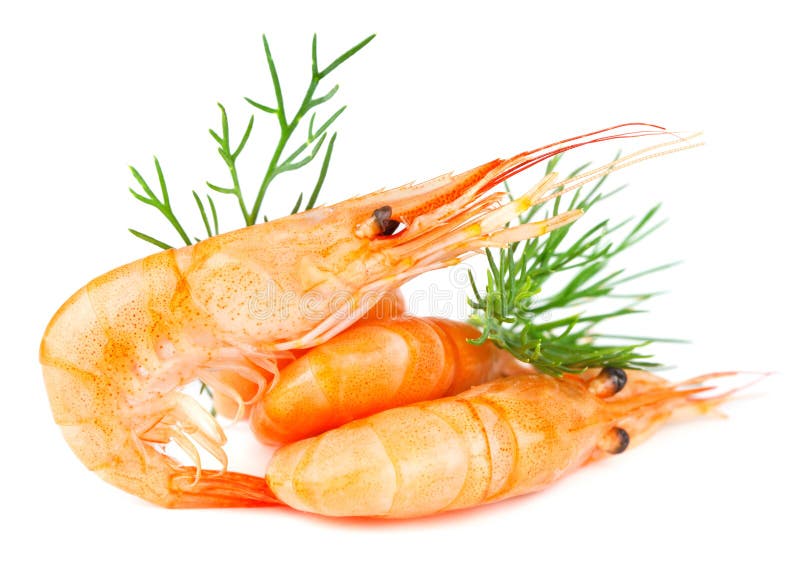 Two Shrimp stock image. Image of ingredient, appetizer - 24397361