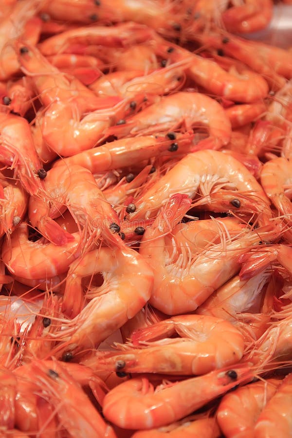 Fresh shrimp stock photo. Image of fresh, marine, seafood - 2452450