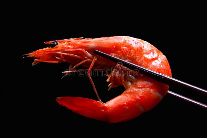Two Shrimp stock image. Image of ingredient, appetizer - 24397361
